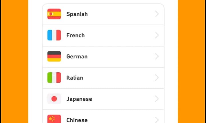 World wide language learning mobile application - Metro Journal